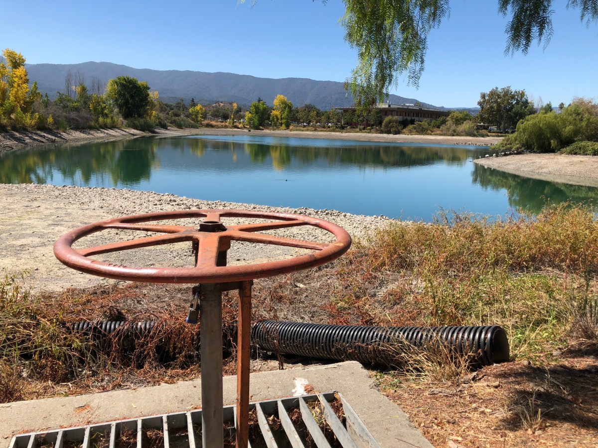 Why are the ponds going dry? – Valley Water News
