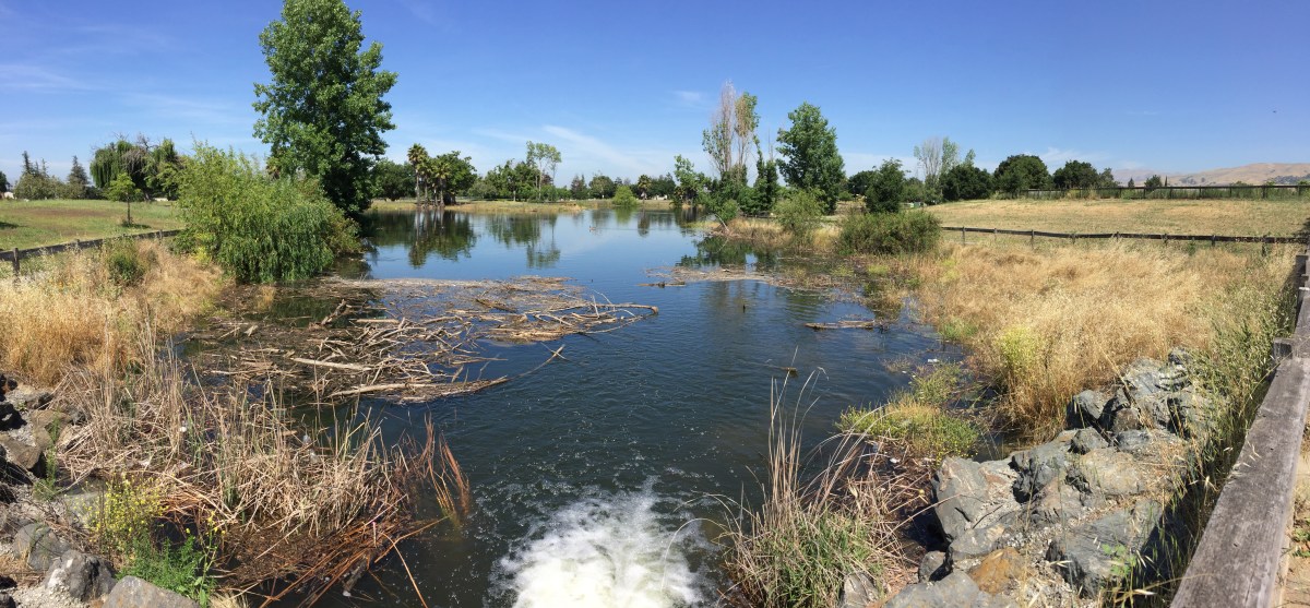 We’re not in a drought, so why the dry ponds? – Valley Water News