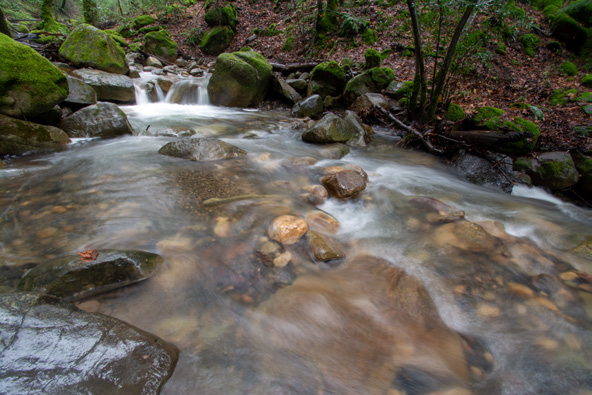 Take the Safe, Clean Water and Natural Flood Protection Survey and be ...